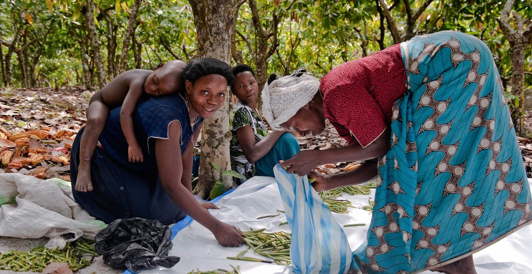 Ndali Vanilla farmers - ndali vanilla