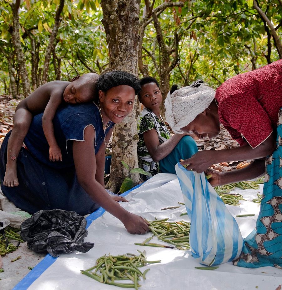 Ndali Vanilla farmers - ndali vanilla