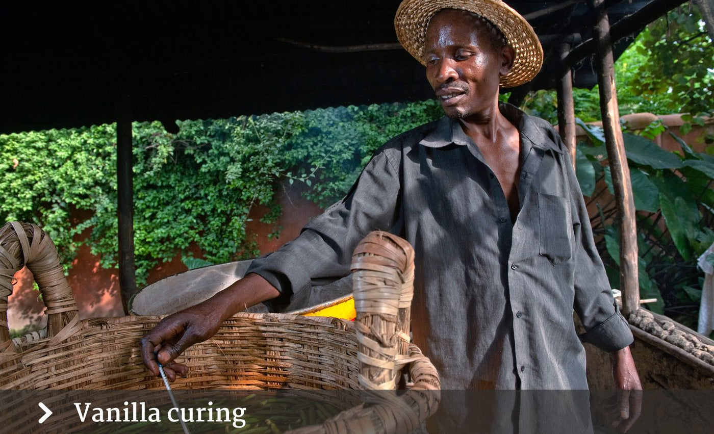 Ndali vanilla beans, extract & powder produced on Ndali Estate, Uganda