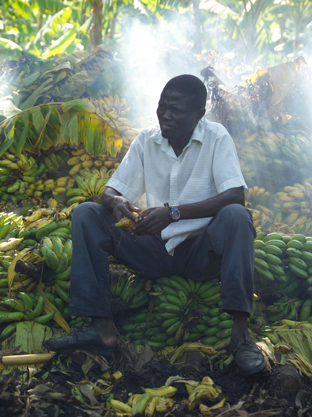 Ndali farm - ndali vanilla