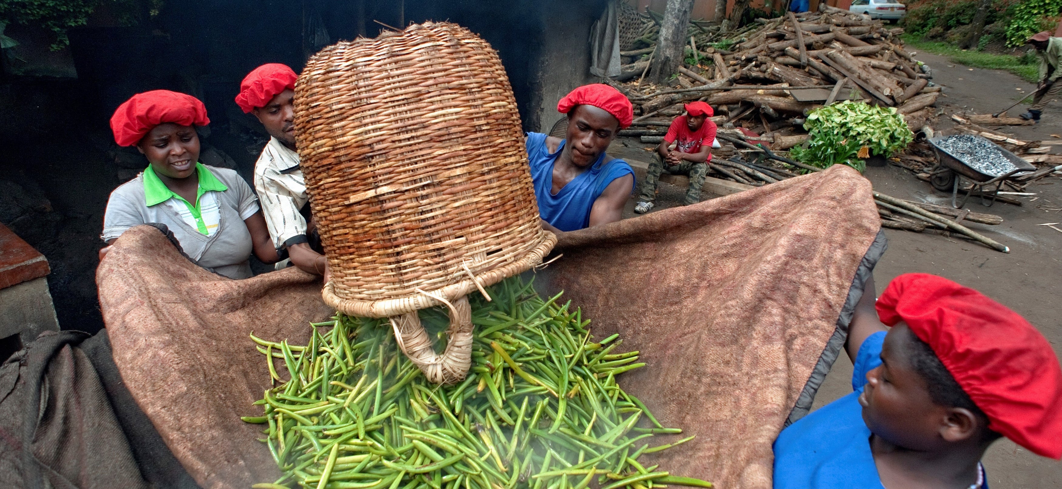 Ndali vanilla beans, extract & powder produced on Ndali Estate, Uganda