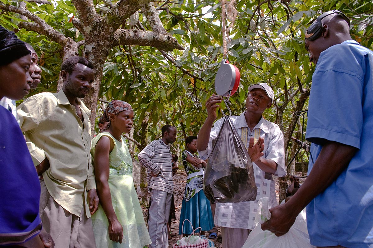 Ndali Vanilla farmers - ndali vanilla